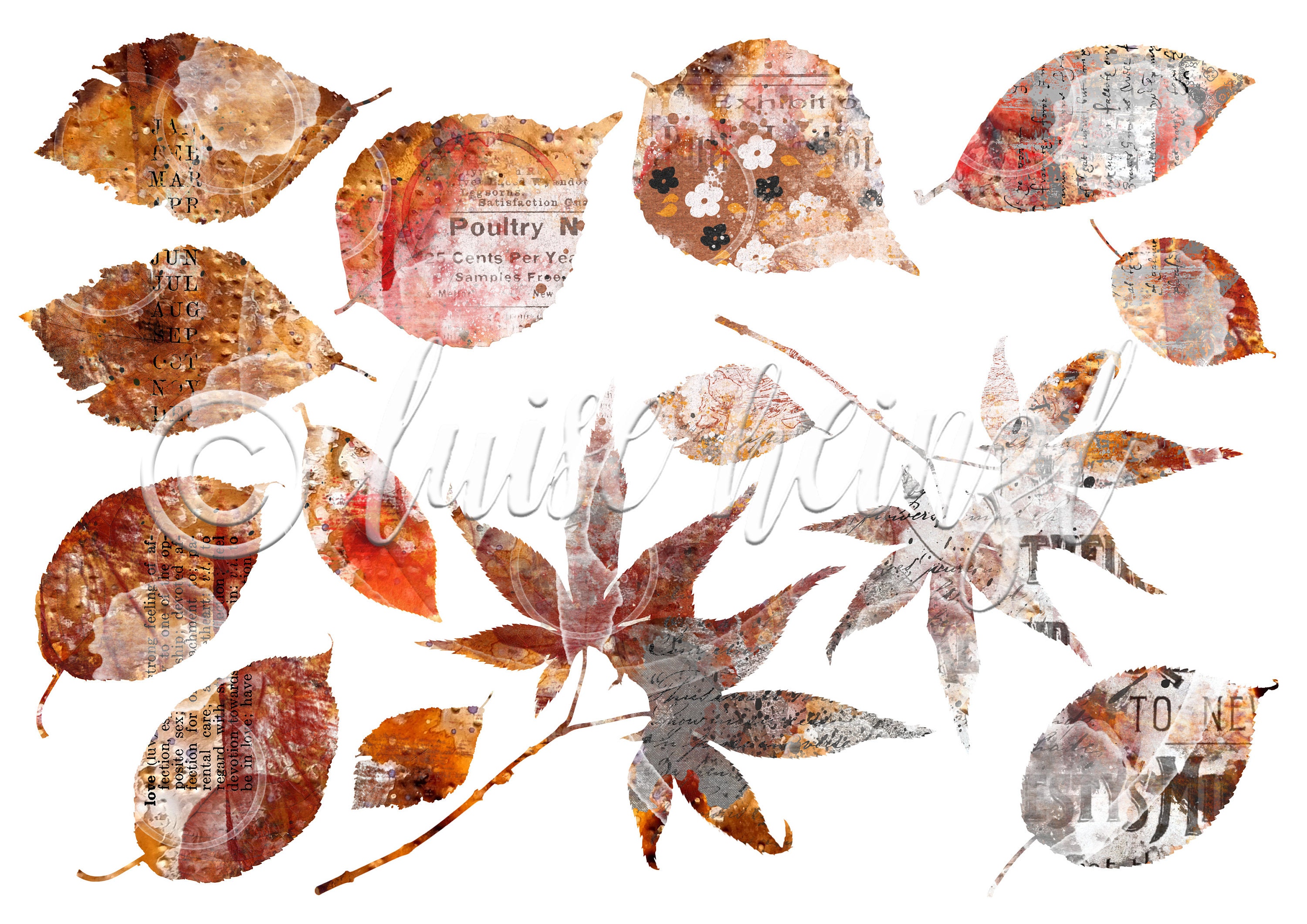 GELLI BRAILLE LEAVES Fussy Cutting Images, Autumn Ephemera for Junk ...