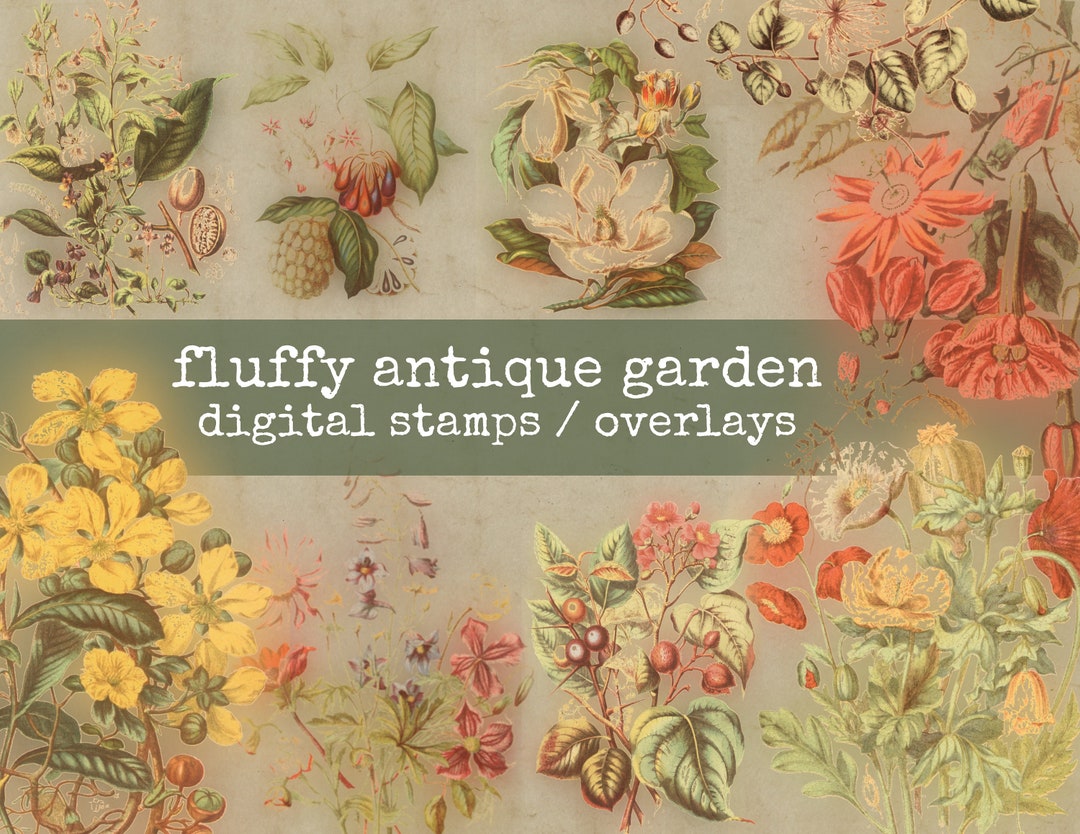 Digital Stamps Flower Garden, Photoshop Overlay, Cliparts for Digital ...