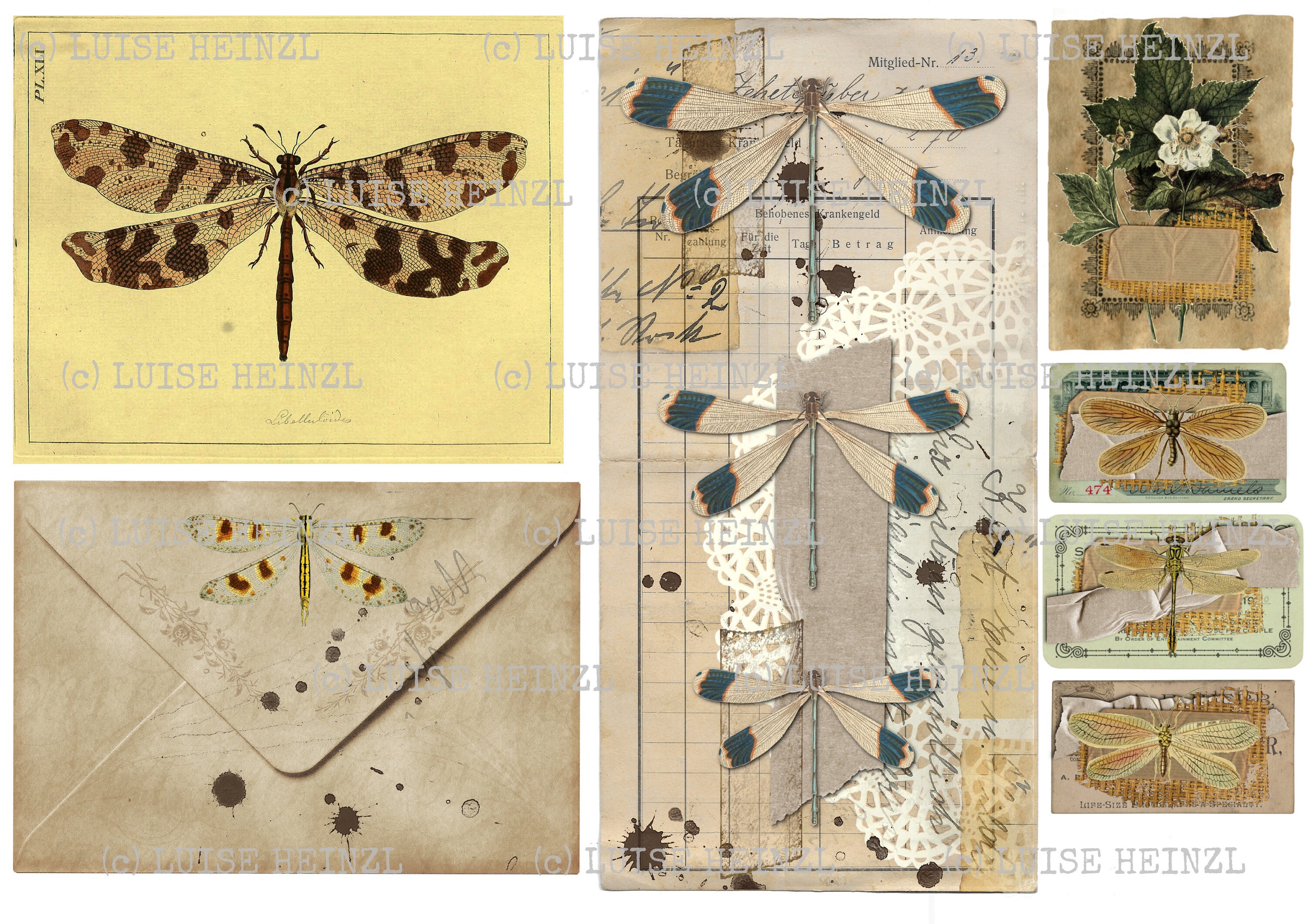 Dragonfly Junk Journal Kit Dragonfly Lover's Notebook - Etsy Canada