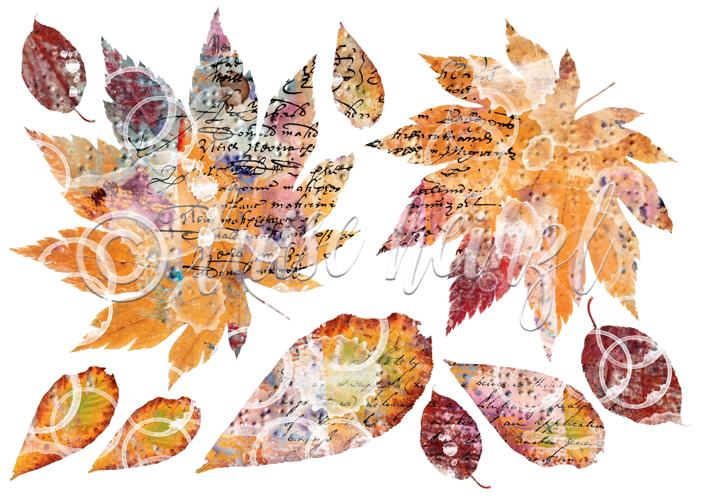 GELLI BRAILLE LEAVES Fussy Cutting Images, Autumn Ephemera for Junk ...