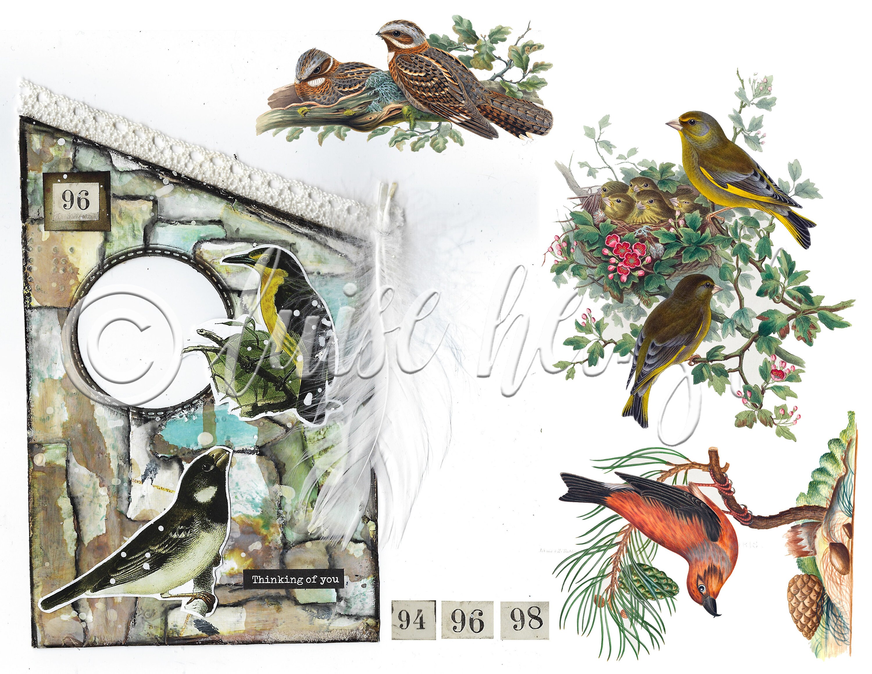 Birdhouse Ephemera Pack Vintage Birds Pocket Ephemera for - Etsy
