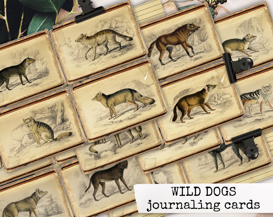 Vintage Dogs Journaling Cards Dog Ephemera Dog Junk Journal - Etsy