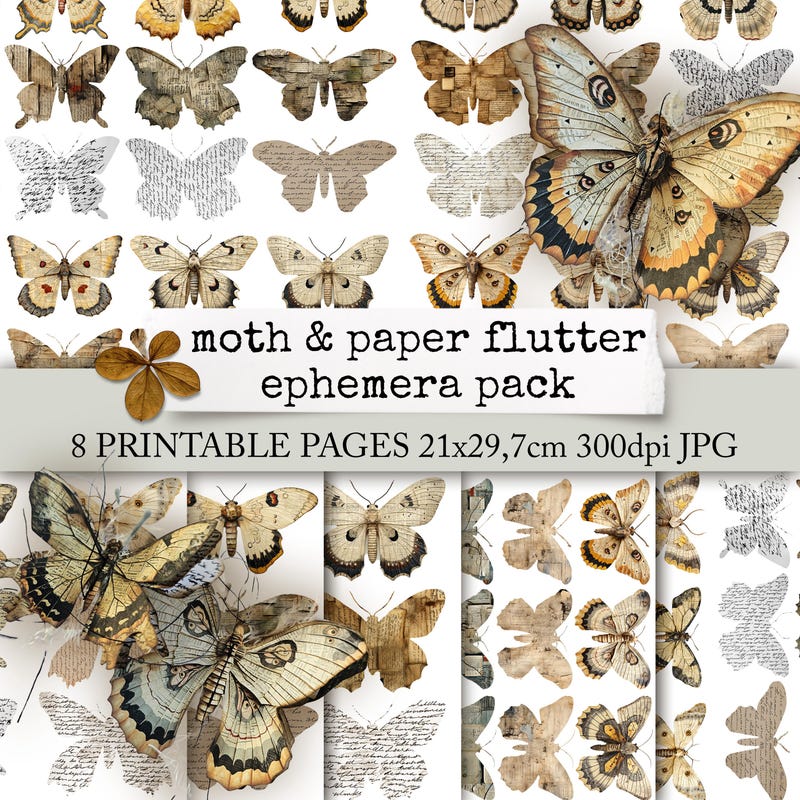 Butterfly Moth Craft Kit - Etsy