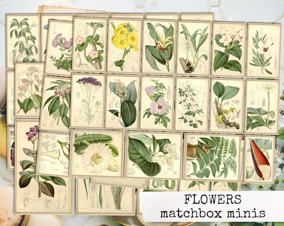 FLOWERS MATCHBOX MINIS 59 Pieces Flower Ephemera Us Letter & | Etsy