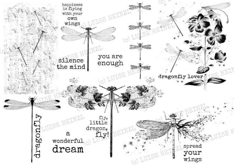 Dragonfly Digital Stamps, Photoshop Overlay, Cliparts for Digital ...