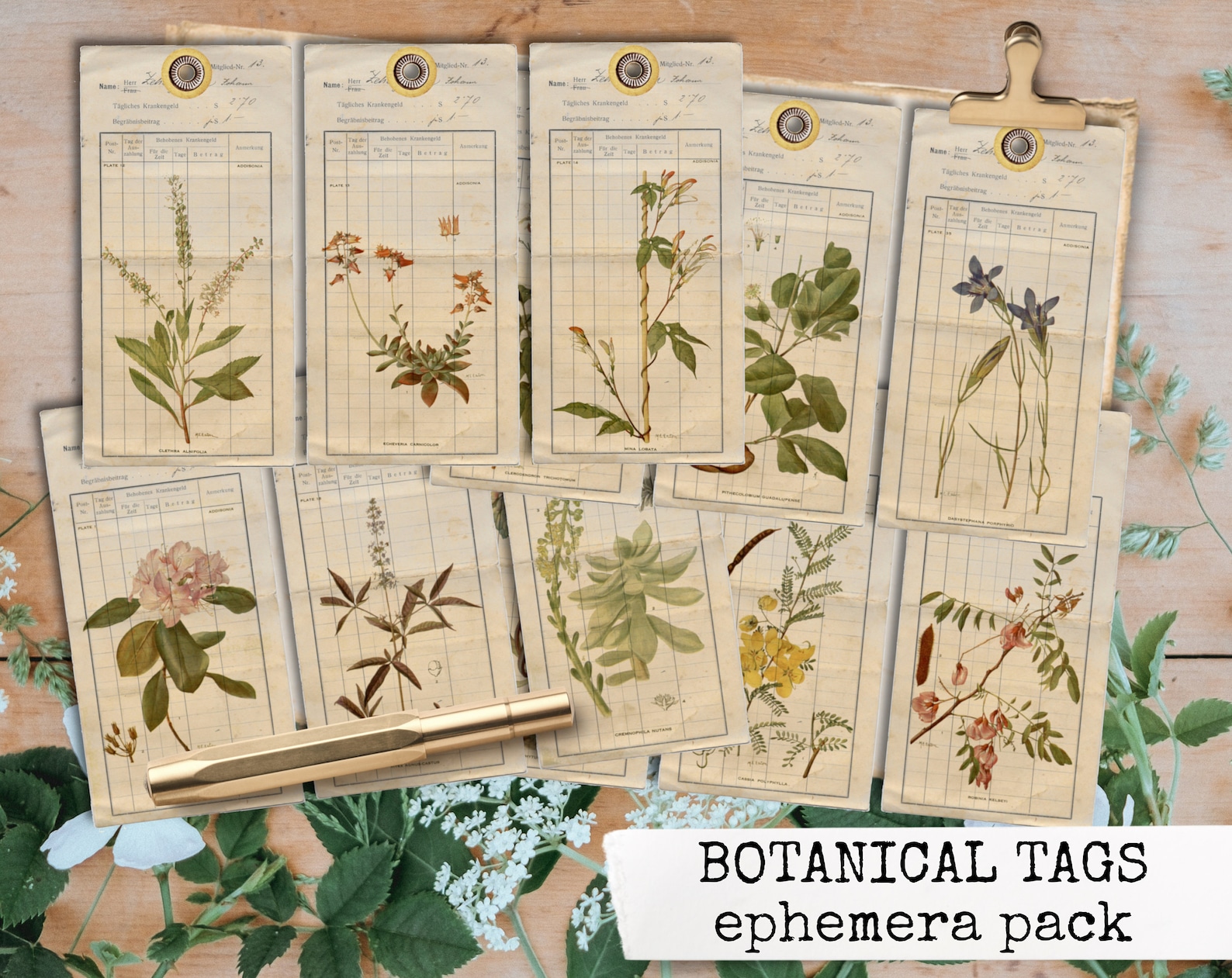 BOTANICAL TAGS EPHEMERA Pack Us Letter & Din A4, Botanical Print Set ...