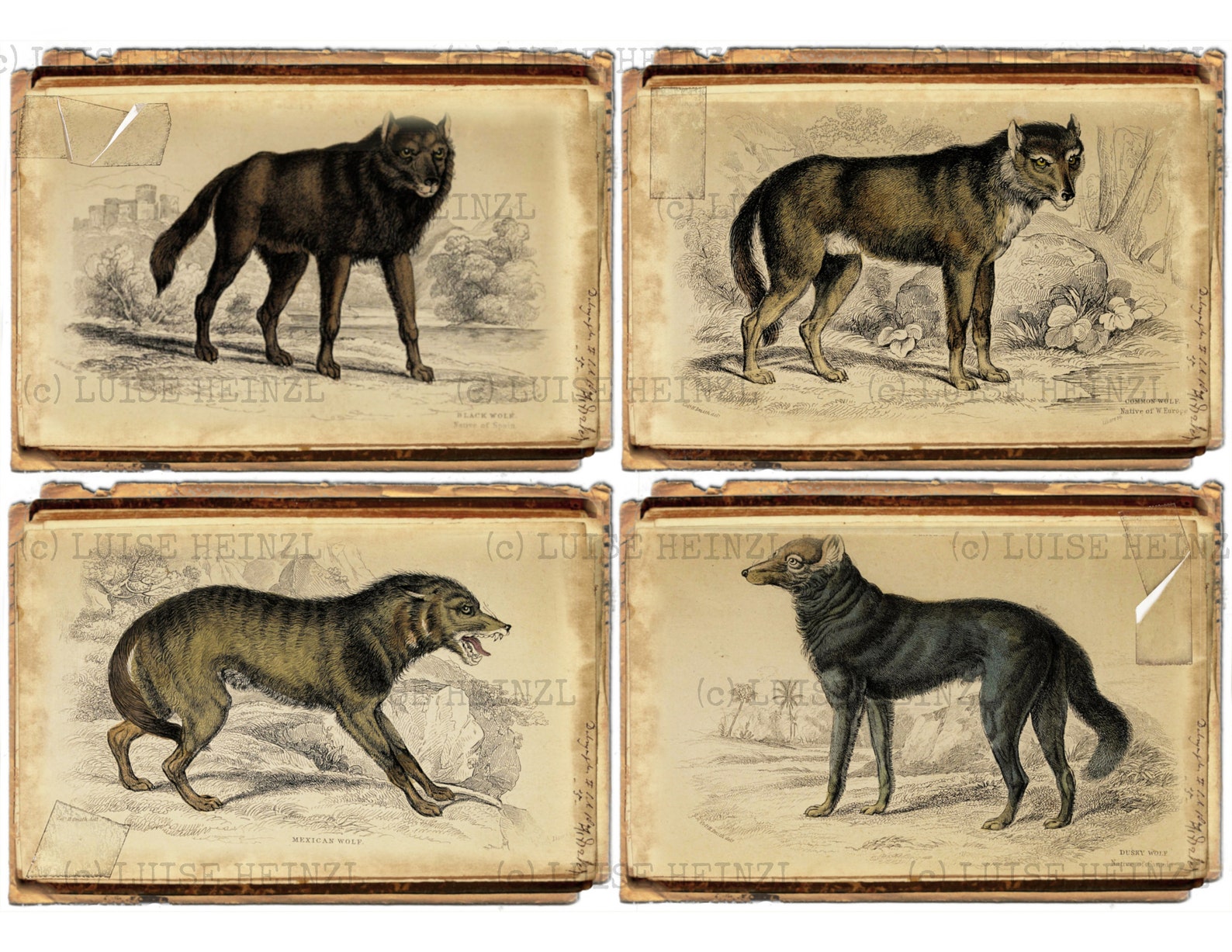 Vintage Dogs Journaling Cards Dog Ephemera Dog Junk Journal - Etsy