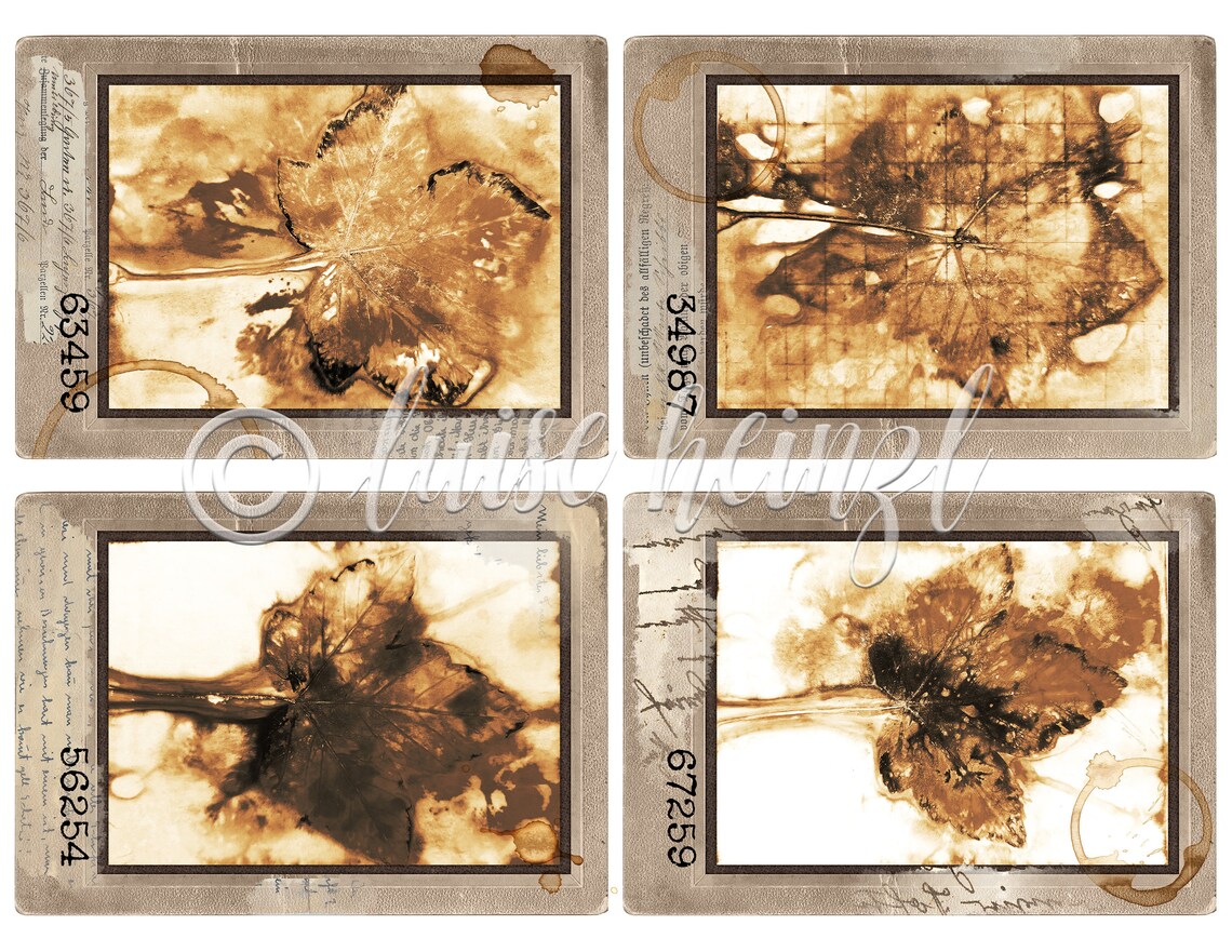 BOTANICAL PRINTS Journaling Cards, Botanical Print Set, Ephemera for ...