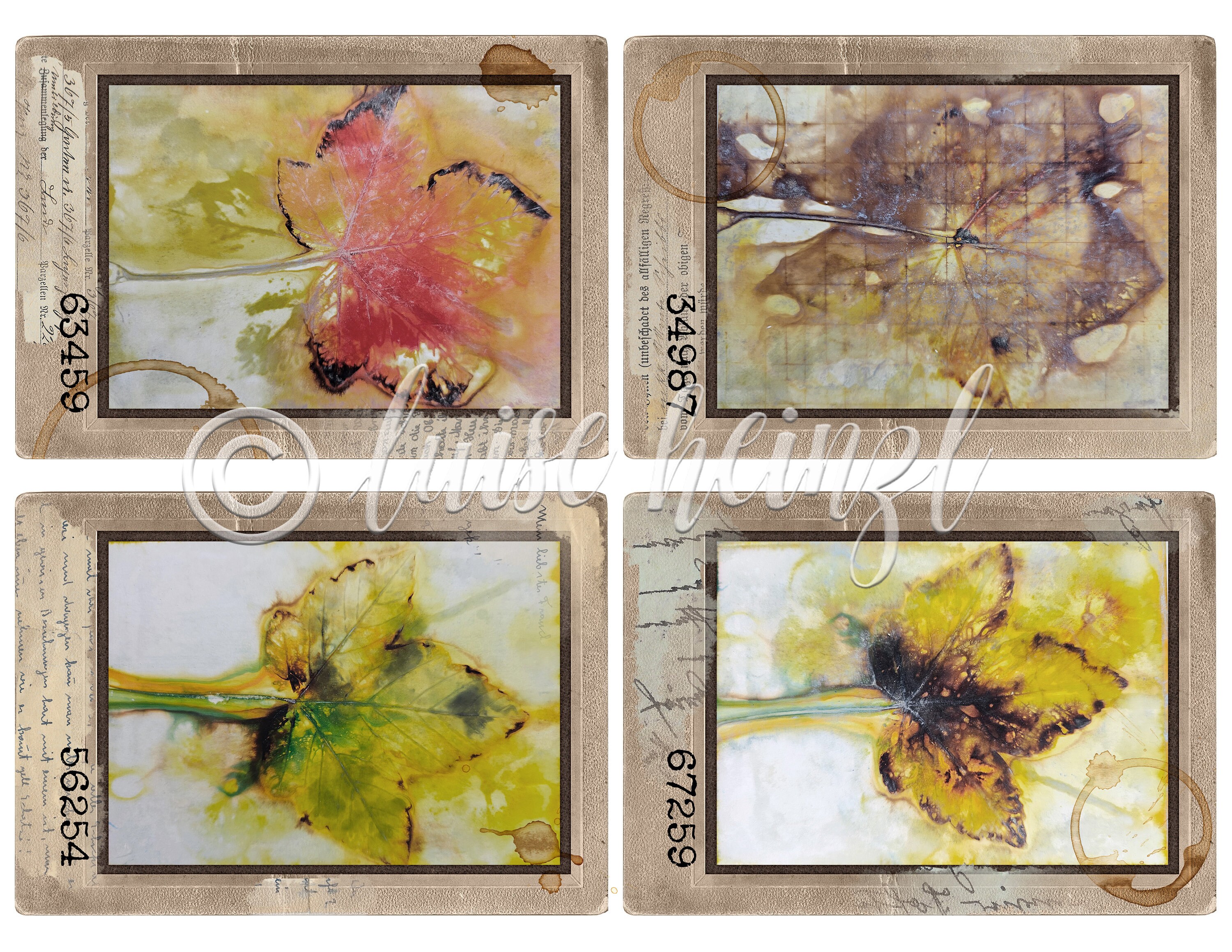 BOTANICAL PRINTS Journaling Cards, Botanical Print Set, Ephemera for ...
