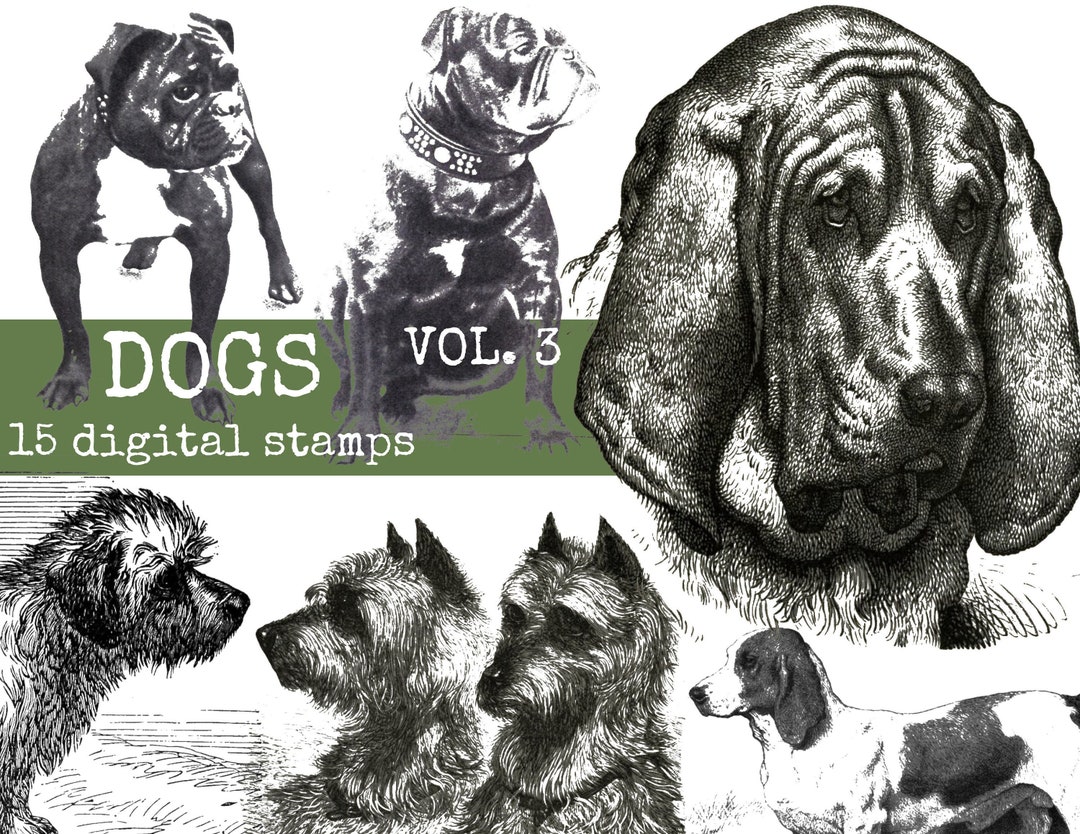 Dogs Digital Stamps, Photoshop Overlay, Cliparts for Digital Designers ...