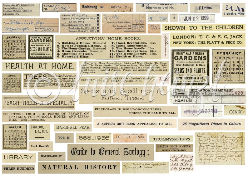 VINTAGE SNIPPETS Ephemera Pack, Creative Vintage Snippet Set With ...