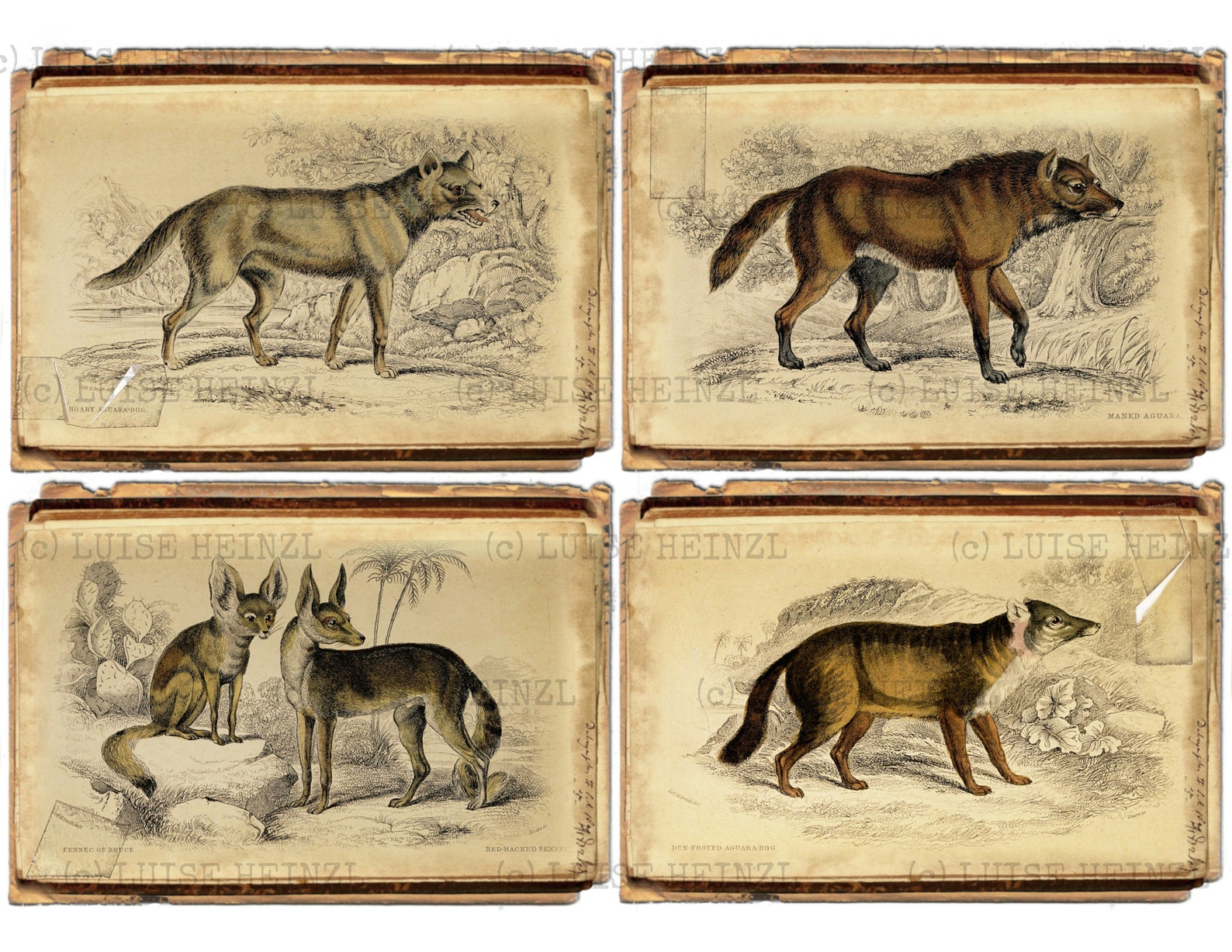 Vintage Dogs Journaling Cards Dog Ephemera Dog Junk Journal - Etsy