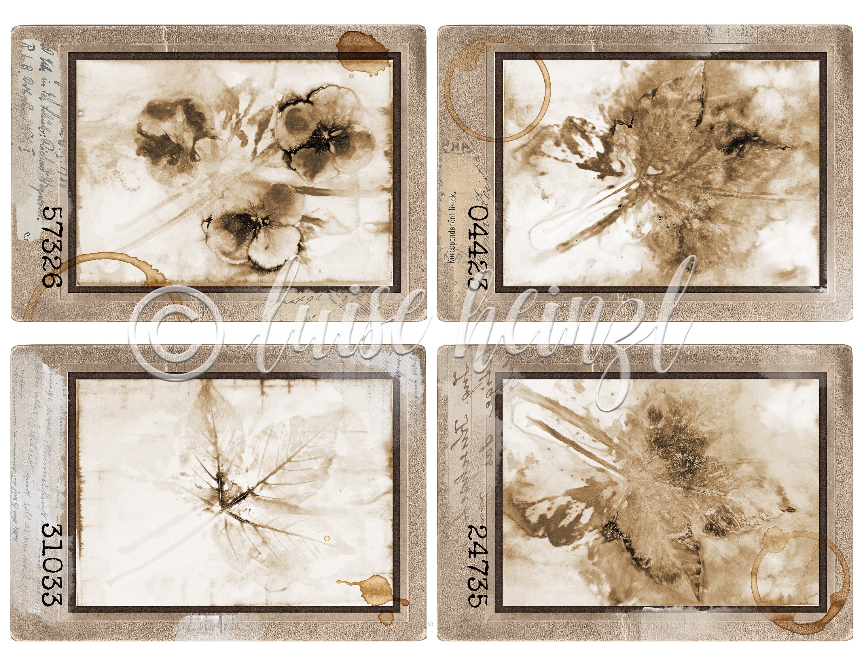 BOTANICAL PRINTS Journaling Cards, Botanical Print Set, Ephemera for ...