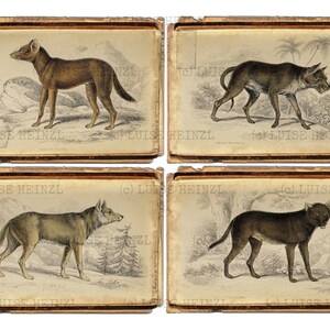Vintage Dogs Journaling Cards, Dog Ephemera, Dog Junk Journal, Wolf ...