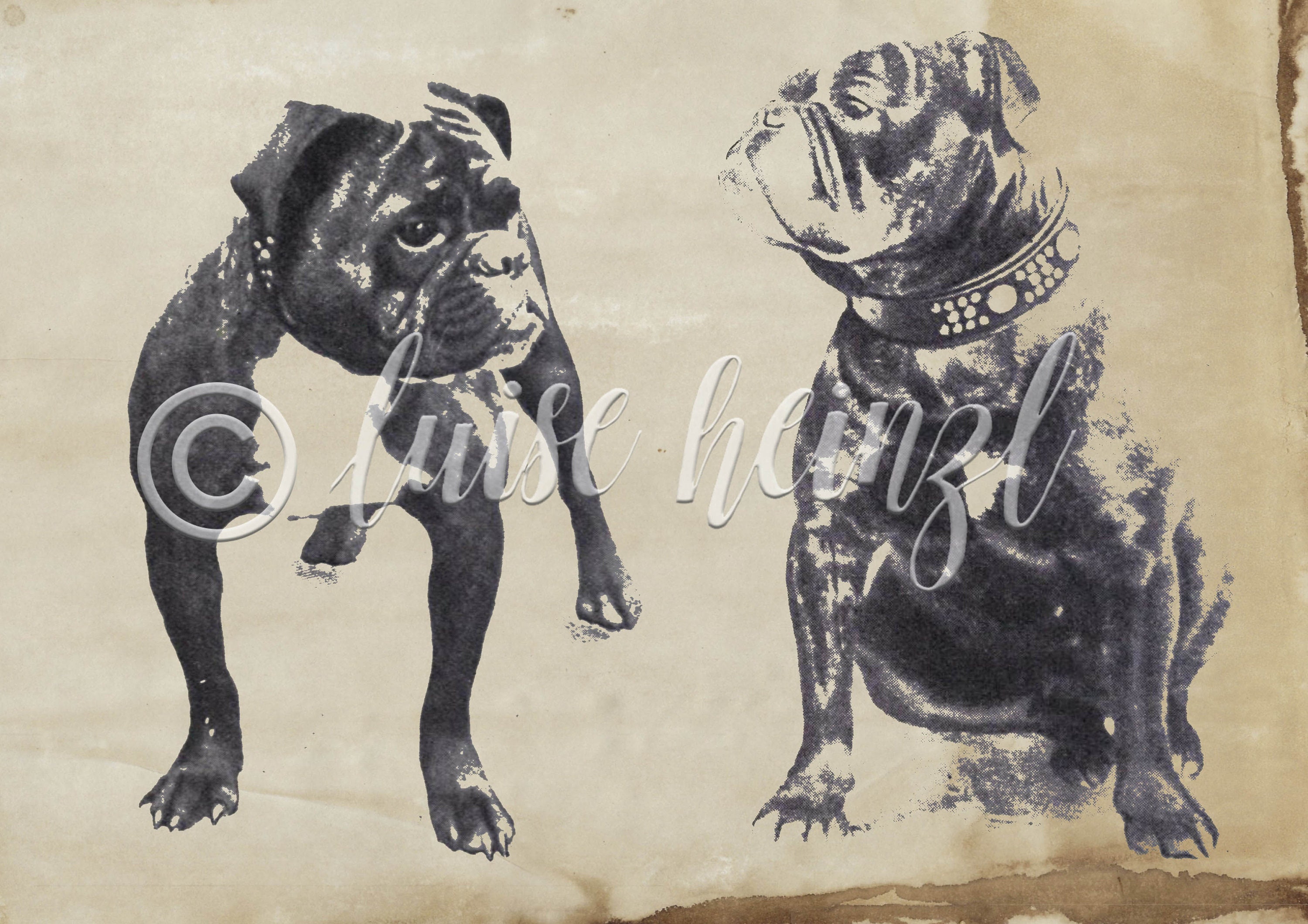 Dogs Digital Stamps, Photoshop Overlay, Cliparts for Digital Designers ...