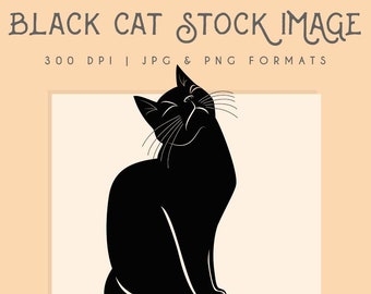 Halloween Kitty Cat Clipart Commercial Use, Vector Graphics, Digital ...