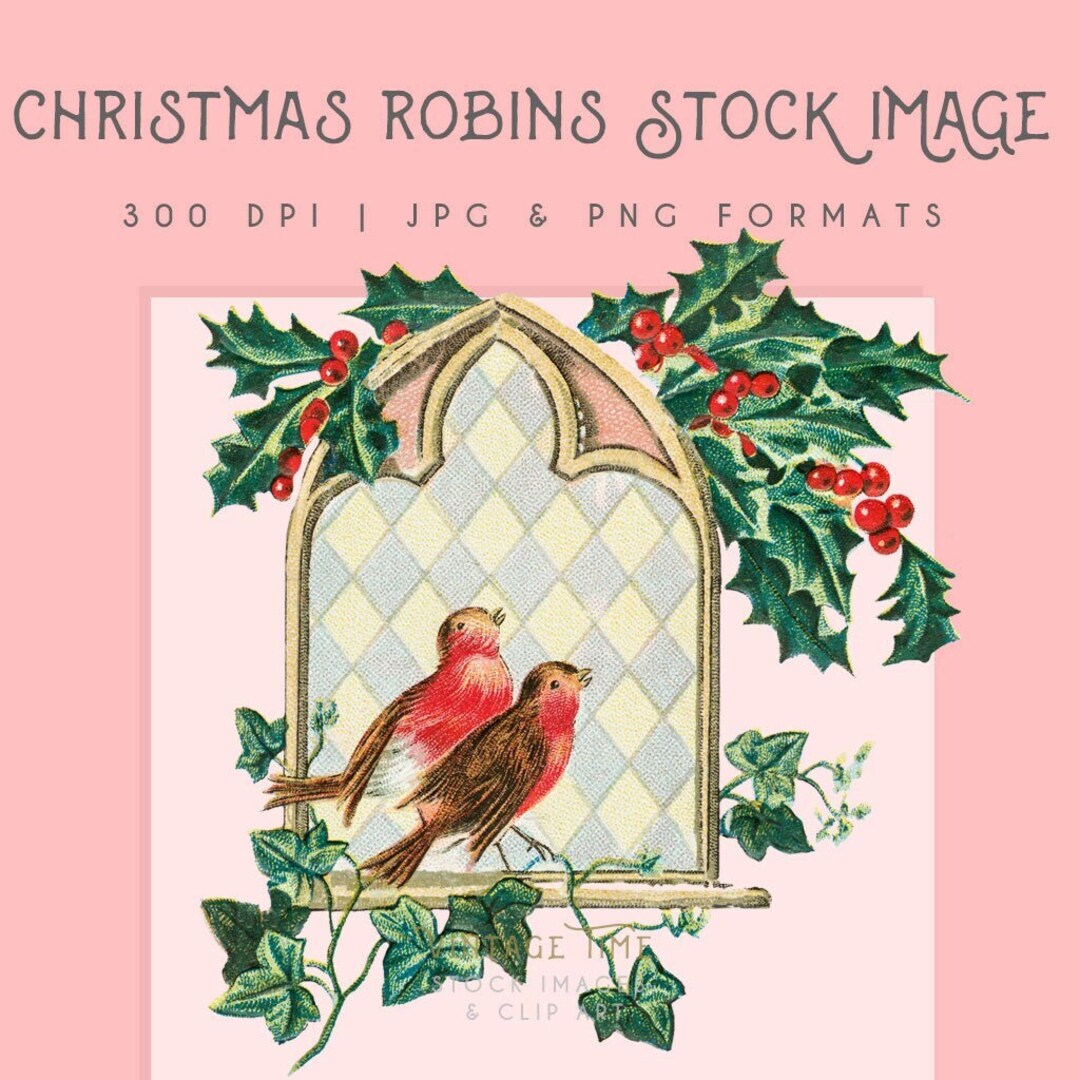 Christmas Robins Clipart Image, Christmas Graphic, Digital Download ...