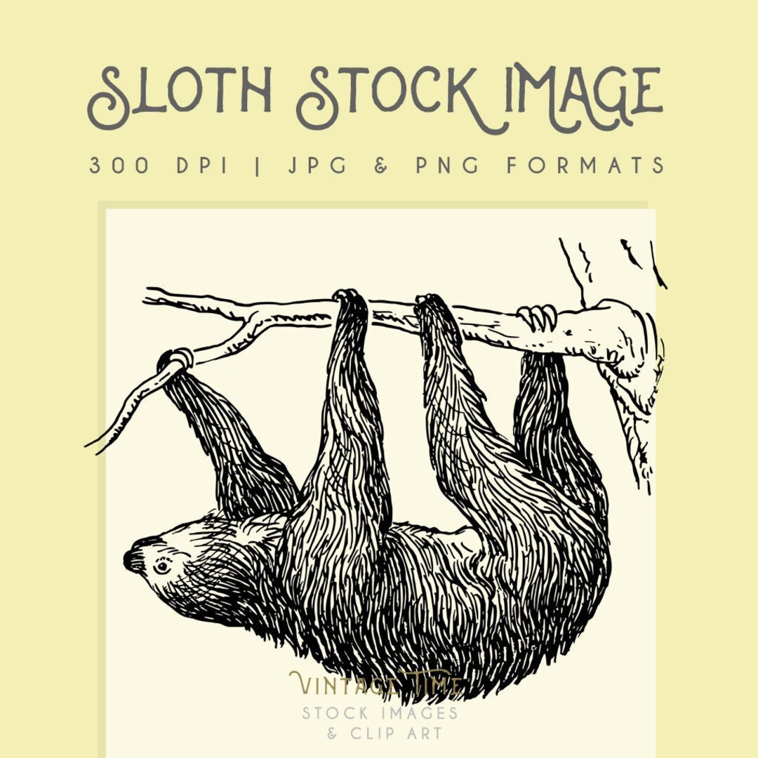 Clipart Sloth Image, Instant Download, Digital Clip Art, Home Decor ...