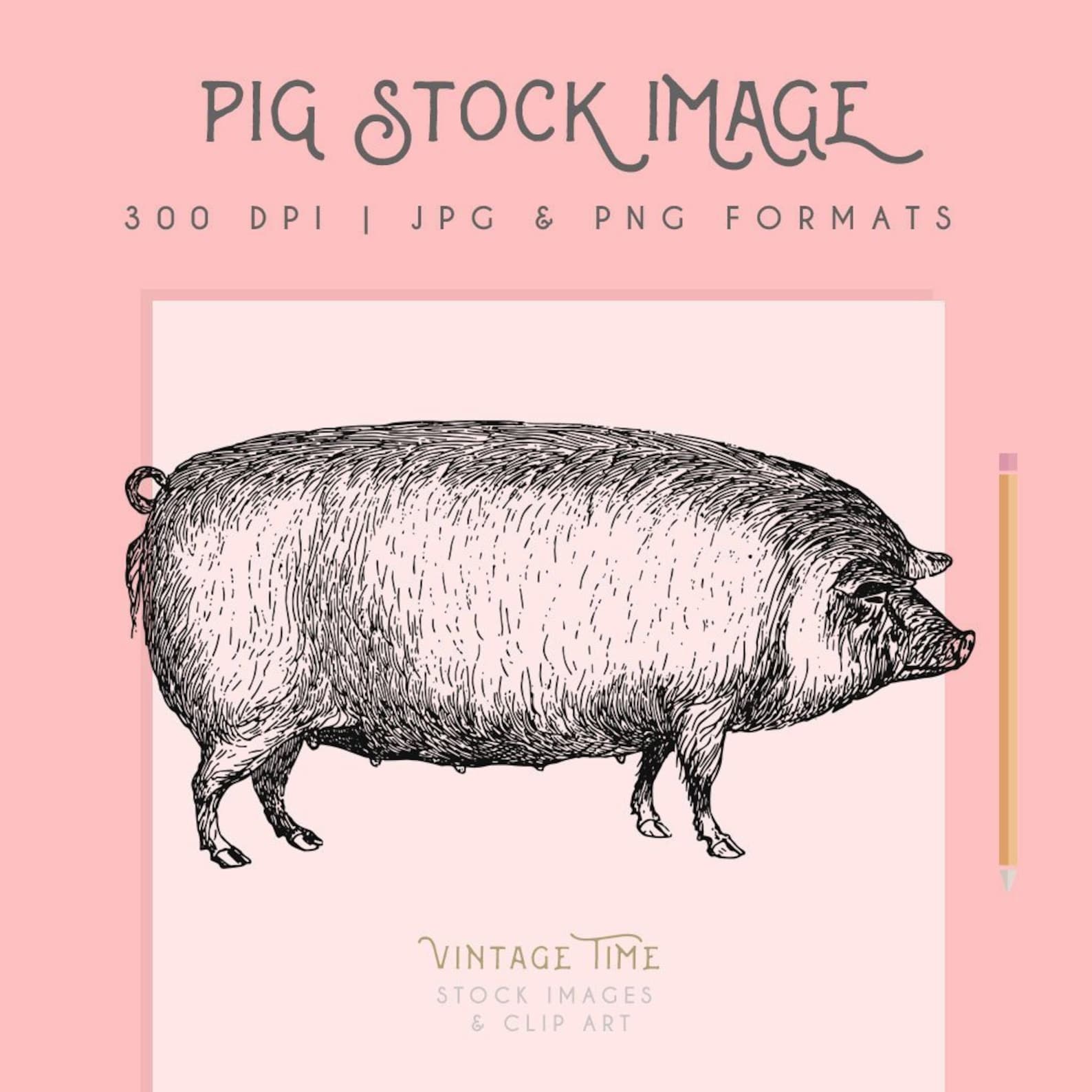 Pig Clipart, Instant Download Pig Printable, Pig Clip Art, Commericial ...