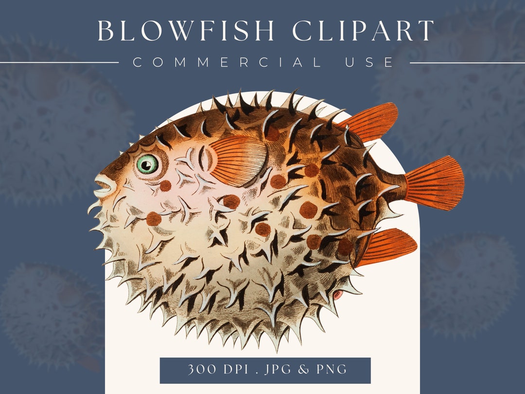 Blowfish Clipart Image, Instant Download, Blowfish Print, Fish Clip Art ...
