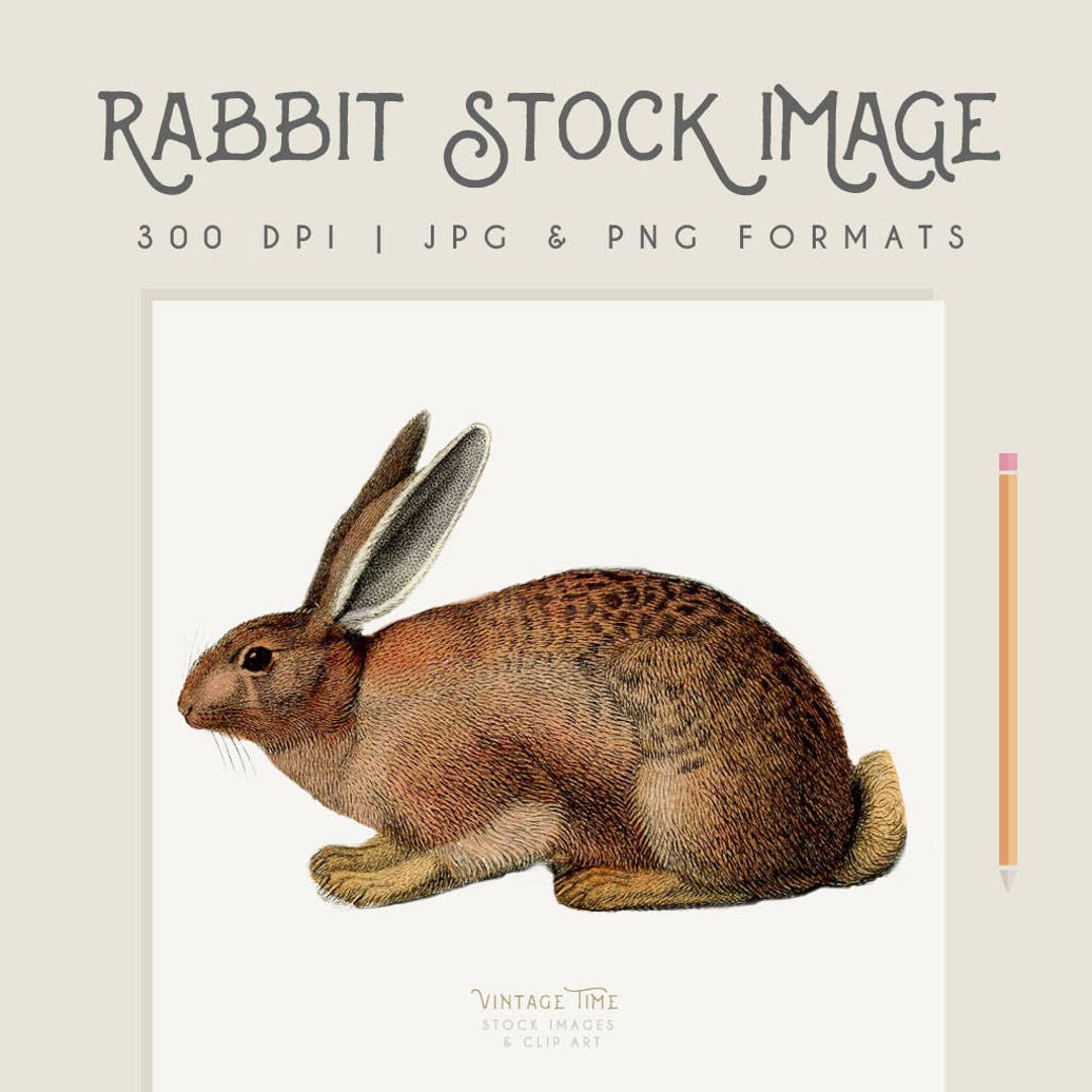 Vintage Brown Rabbit Clip Art Stock Image Illustration Painting ...