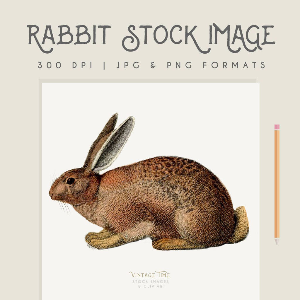 Vintage Brown Rabbit Clip Art Stock Image Illustration Painting ...