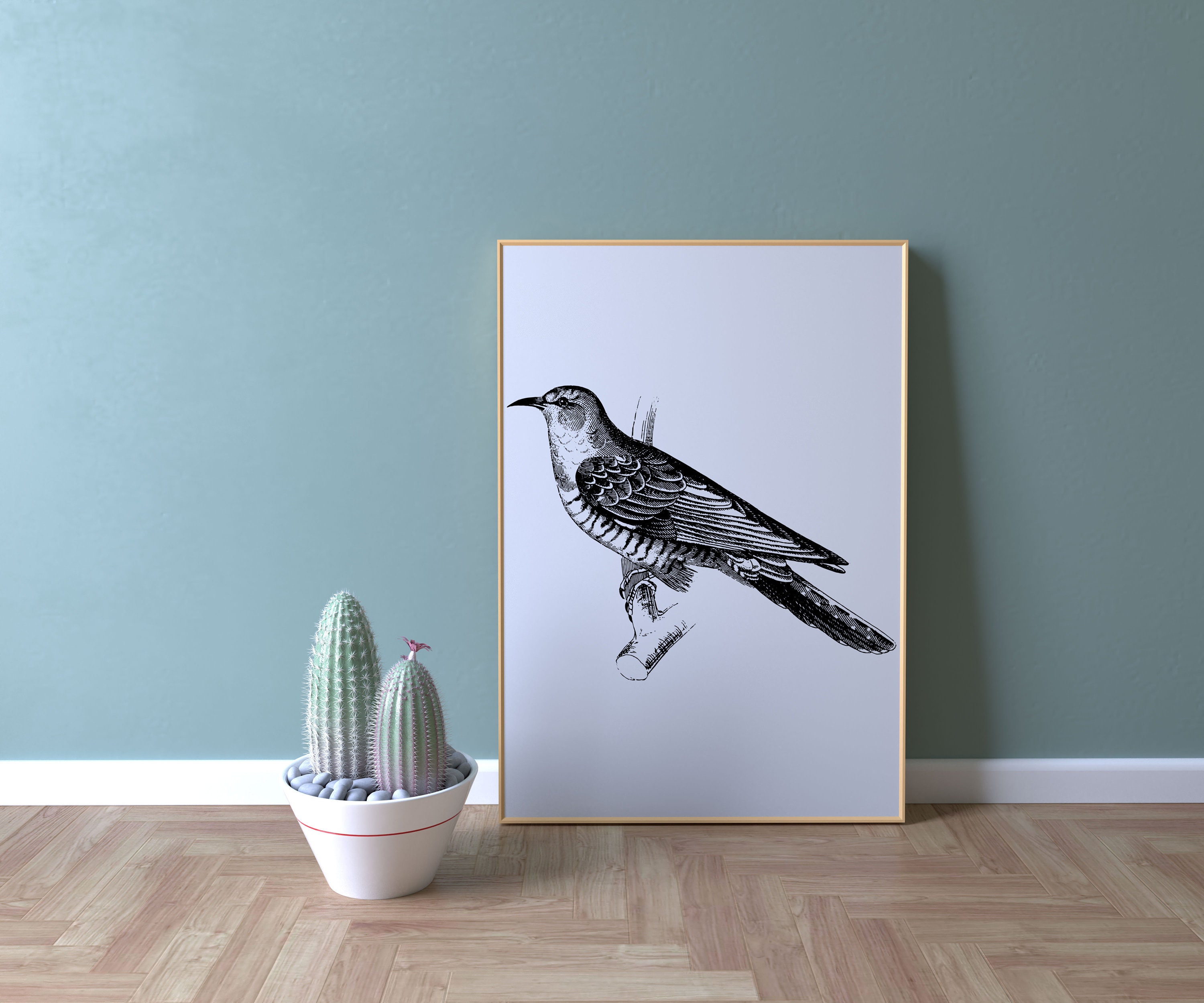 Cuckoo Bird Clipart Image Instant Download Printable Cuckoo - Etsy