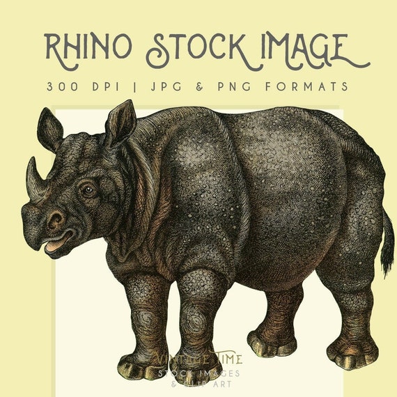 Rhinoceros Clipart Image Instant Download Rhino Print Rhino | Etsy ...