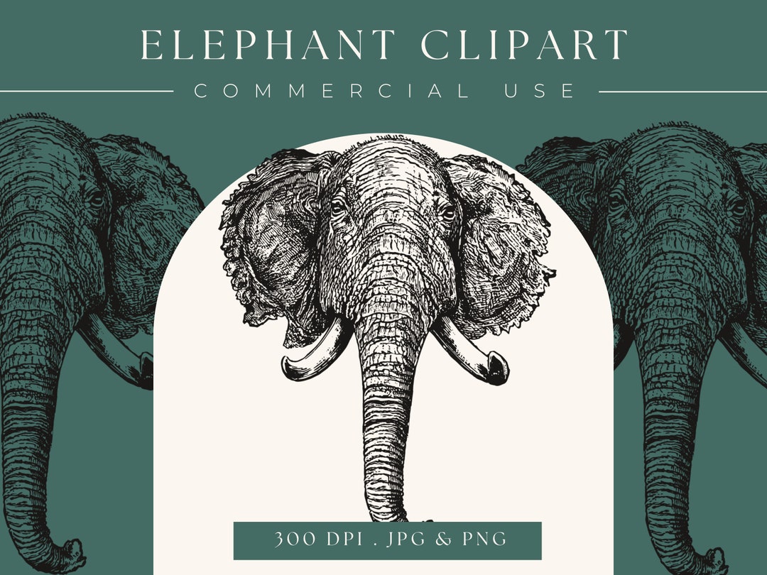 Elephant Clipart, Instant Download, Elephant Printable, Elephant Clip ...