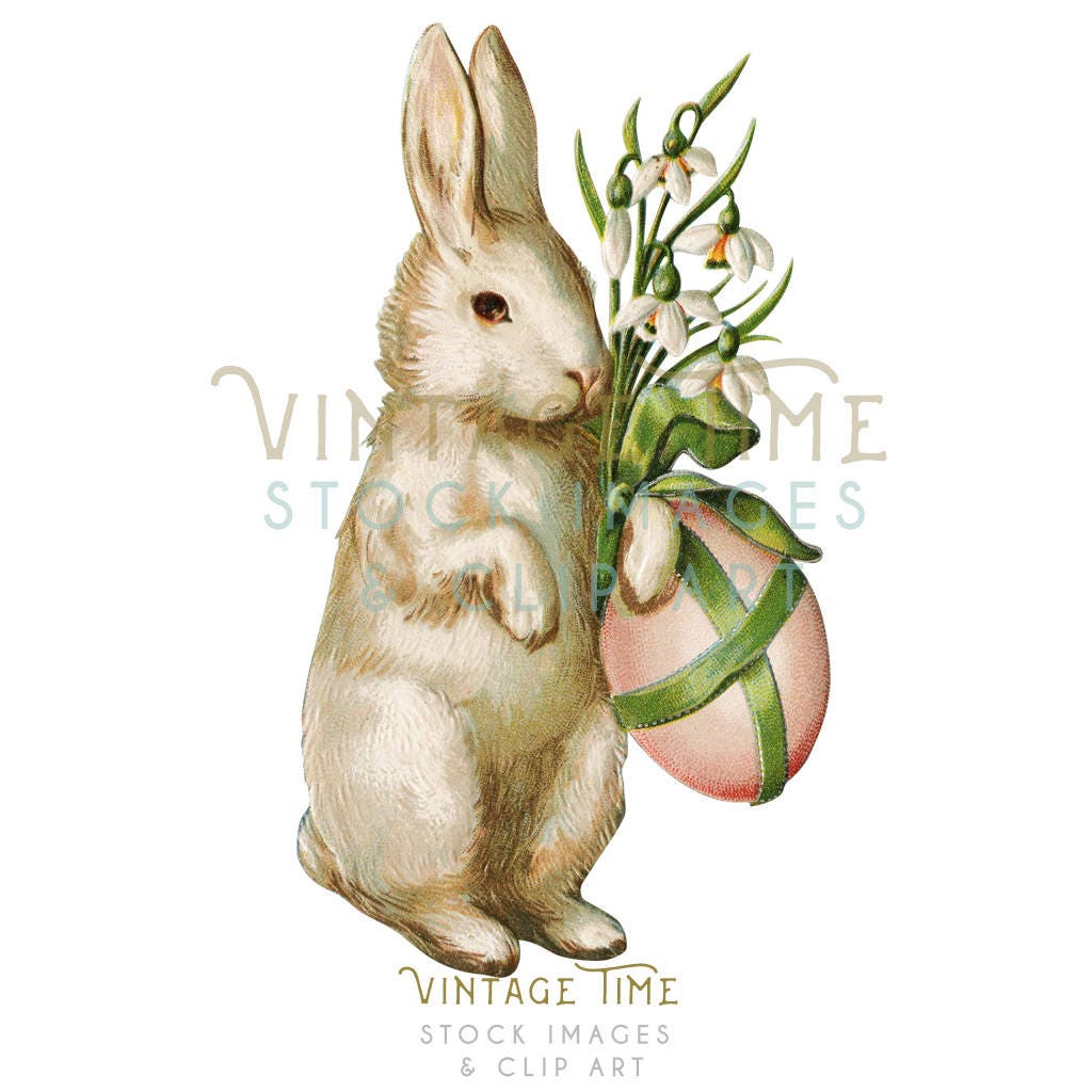 Vintage White Rabbit Drawing Illustration Clipart Digital Download Wall ...