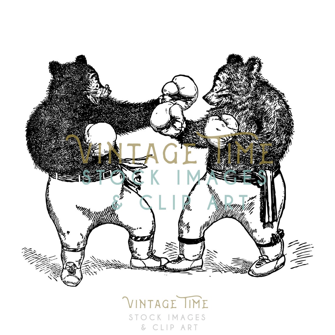 Boxing Bears Clipart Image Vintage Kids Print Bear Clipart - Etsy Australia