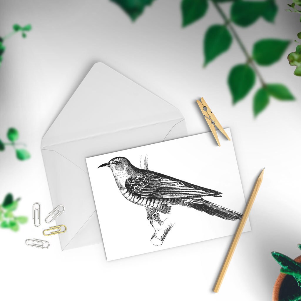 Cuckoo Bird Clipart Image, Instant Download, Printable, Cuckoo Clip Art ...