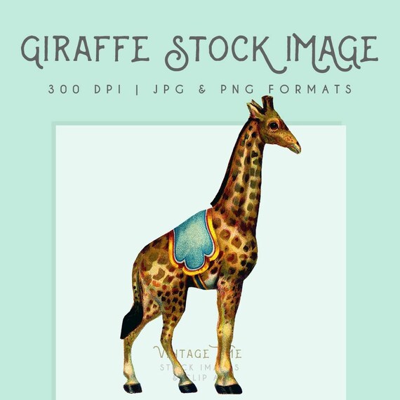 Clipart Circus Giraffe Image Digital Clipart Digital - Etsy