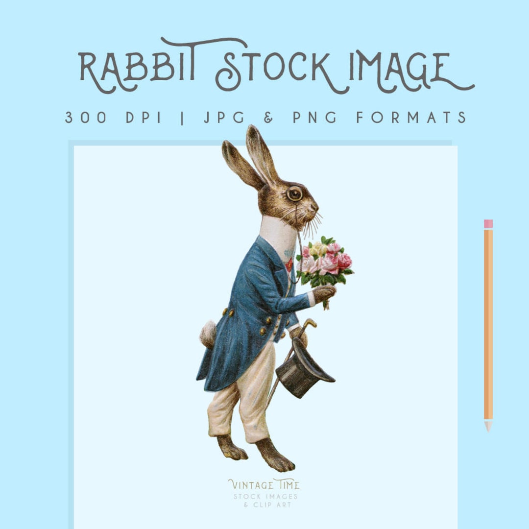 Vintage Rabbit Clip Art Stock Image Wall Art Printable Illustration ...