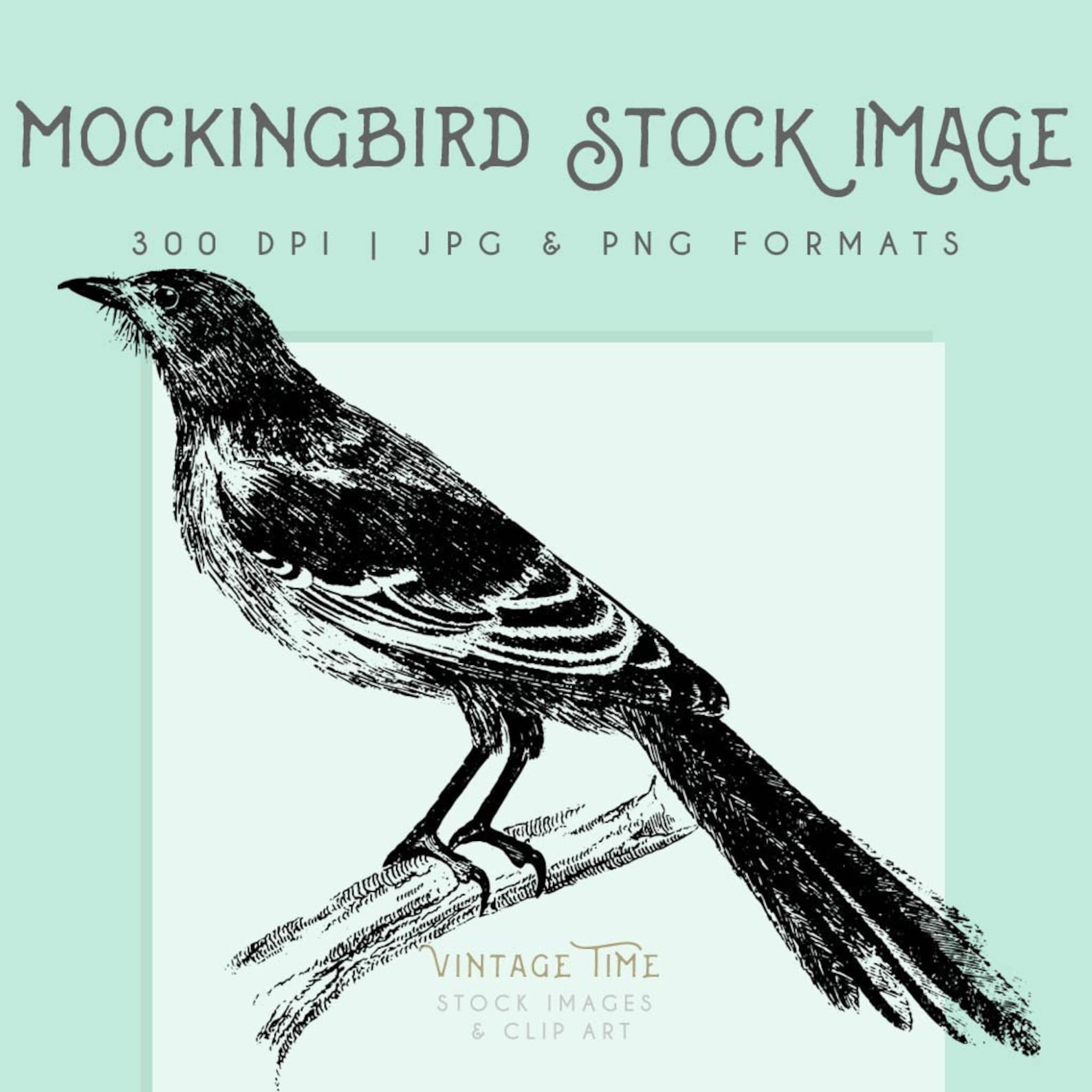 Mockingbird Clipart Image, Instant Download, Mockingbird Printable ...