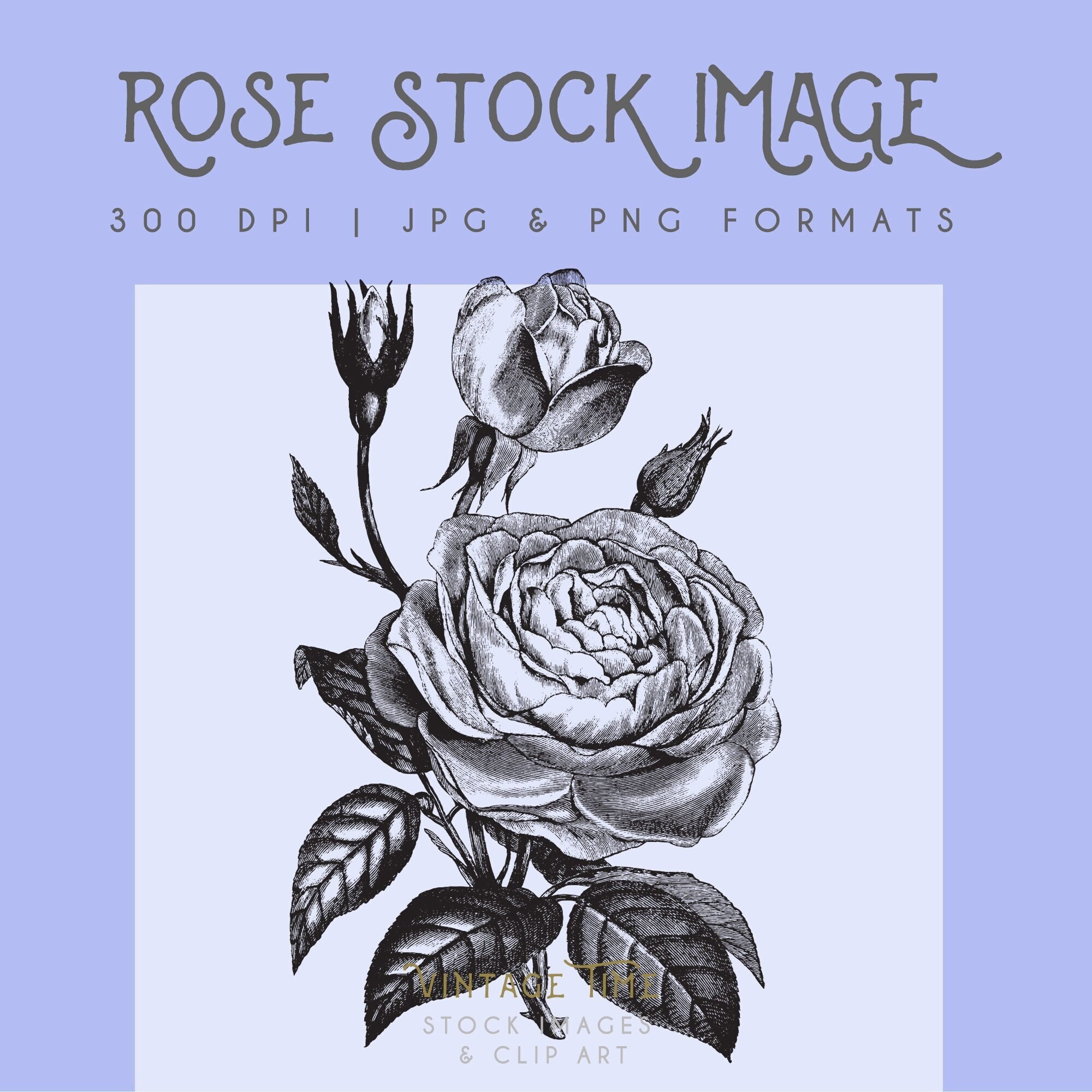 Vintage Rose Clip Art Black