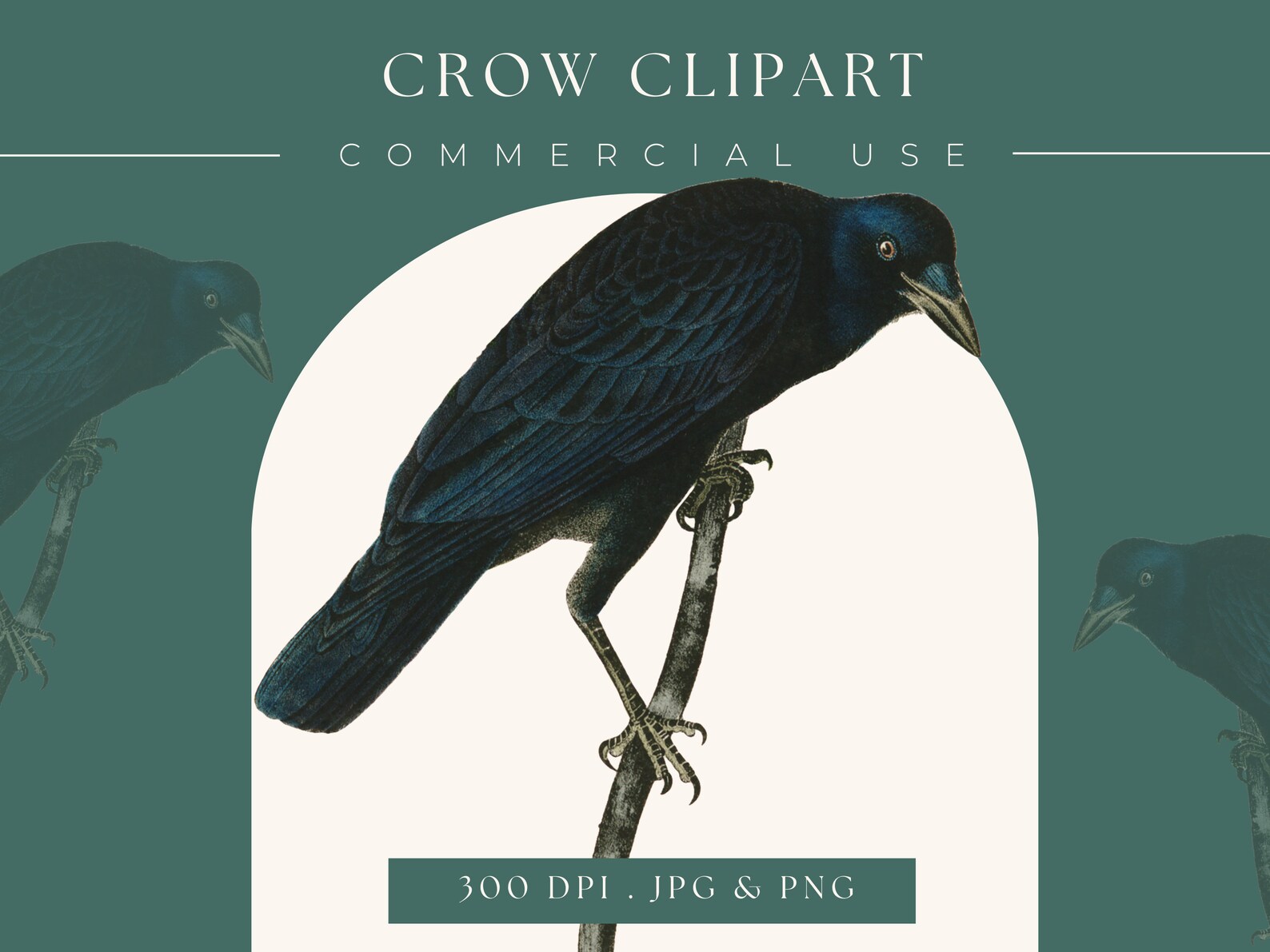 Halloween Crow Clipart Image, Instant Download Crow Print, Crow Clip ...