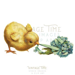 Vintage Easter Baby Chicken Clip Art Stock Image Illustration Graphic ...