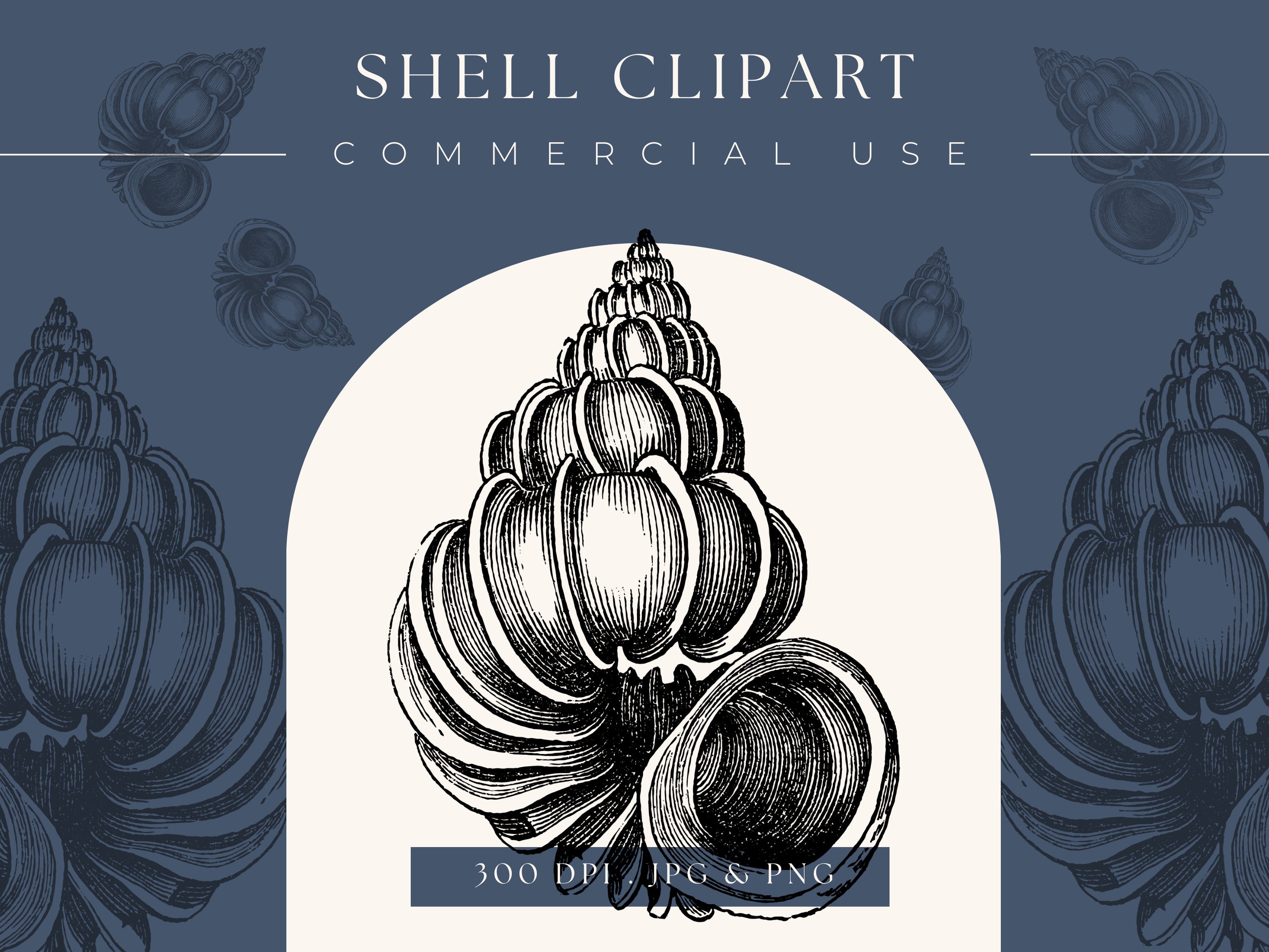 Seashell Clipart Image, Instant Download Shell Printable, Seashell Clip ...
