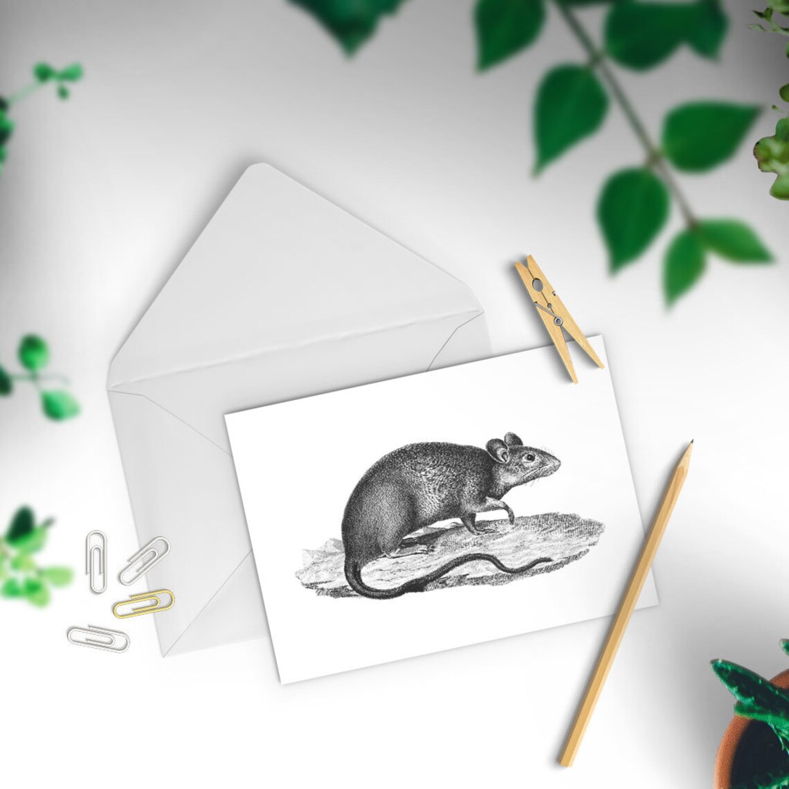 Rat Clipart Image, Instant Download, Rat Printable, Rat Clip Art ...