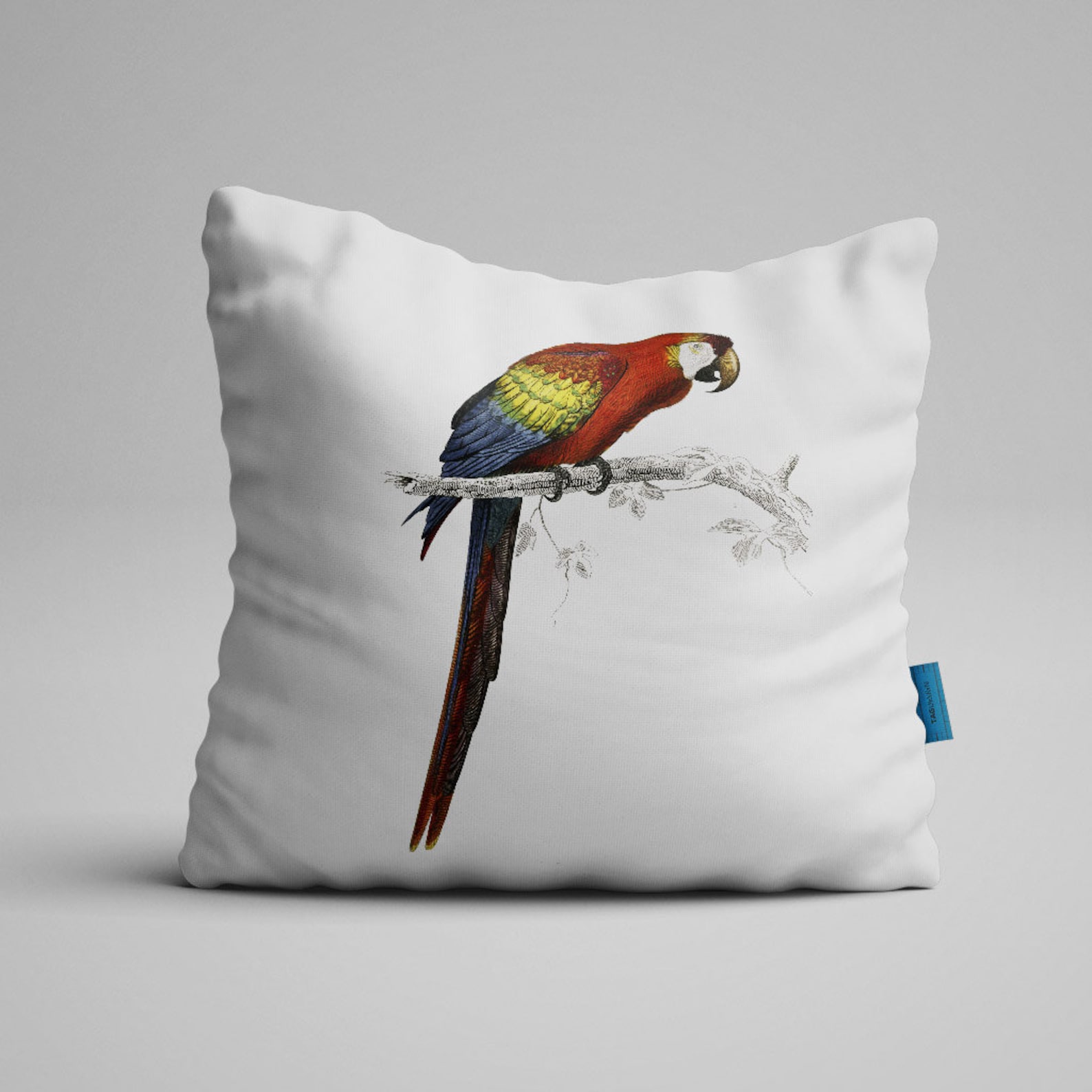 Macaw Bird Clipart Image, Instant Download Parrot Printable, Parrot ...