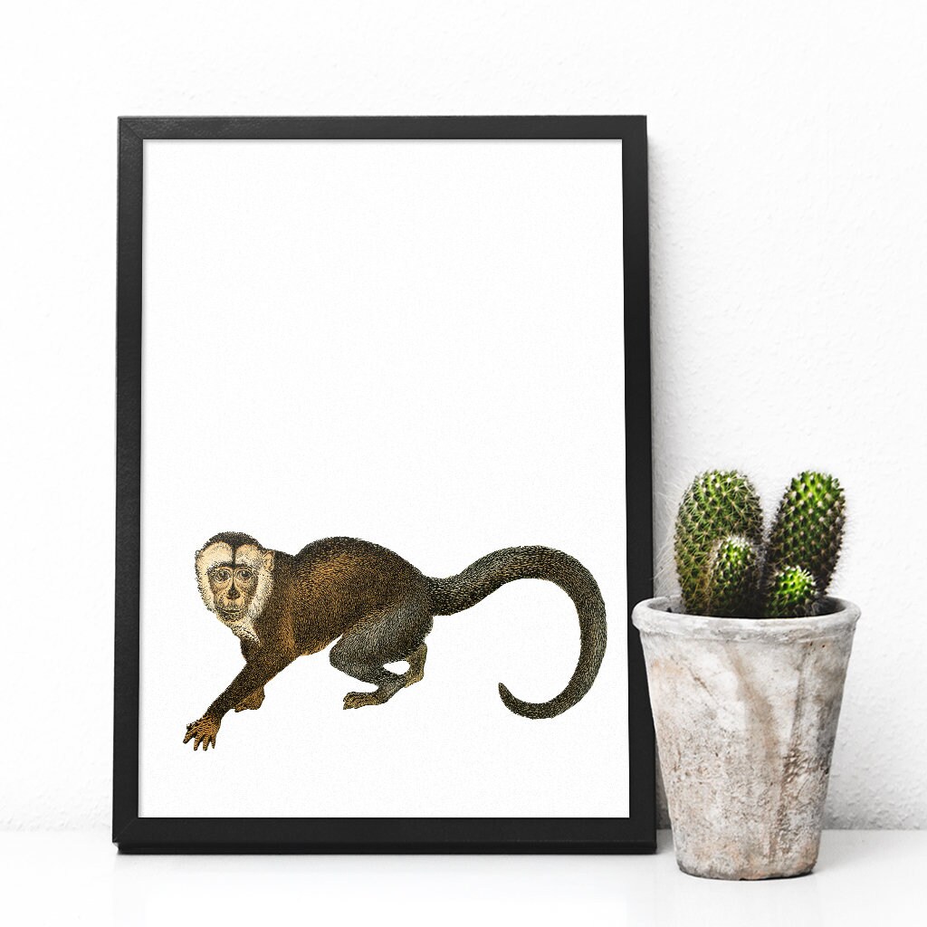 Clipart Monkey Graphic Image, Digital Clipart, Digital Download ...