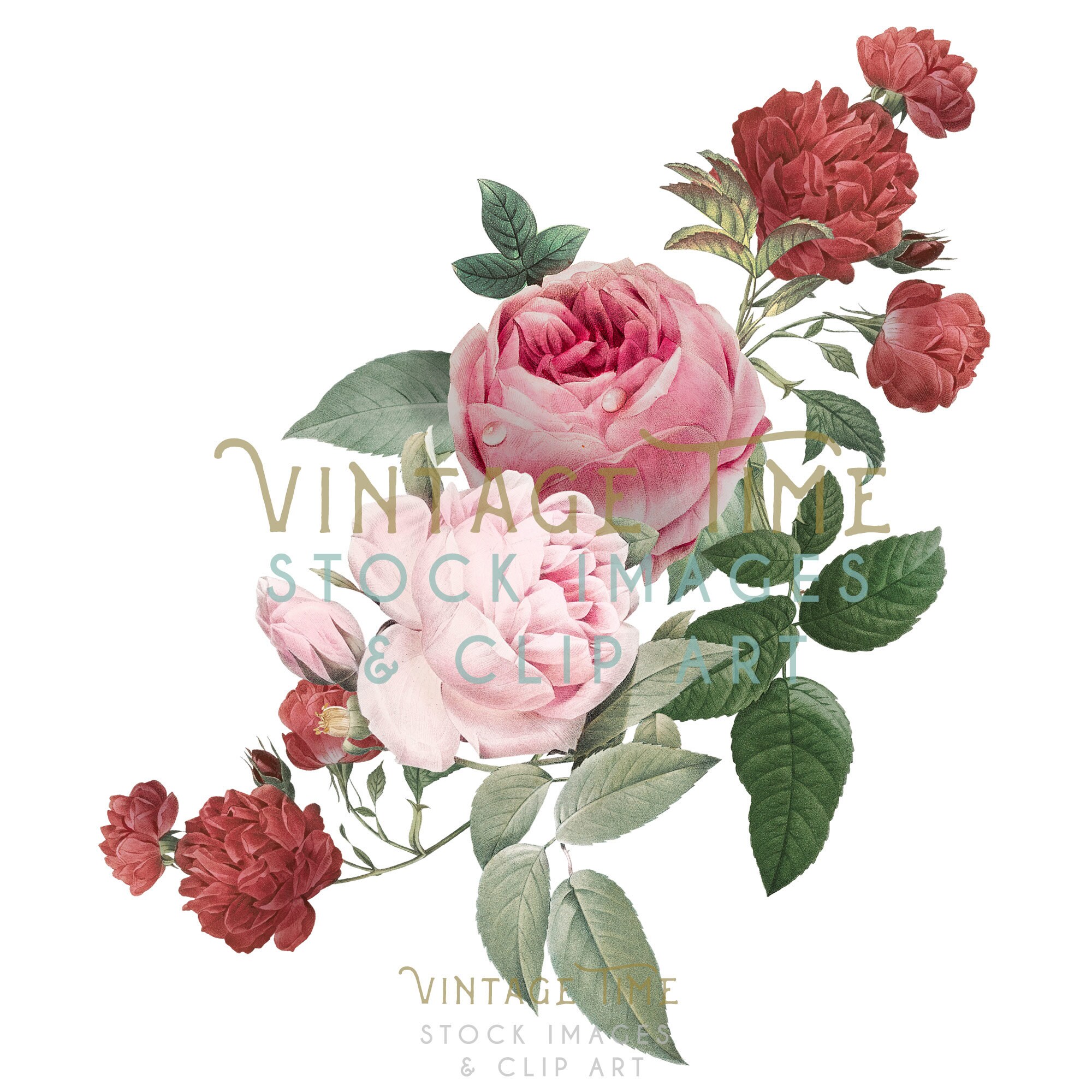 Rose Bouquet Floral Clipart Image, Instant Download, Pink Rose Print ...