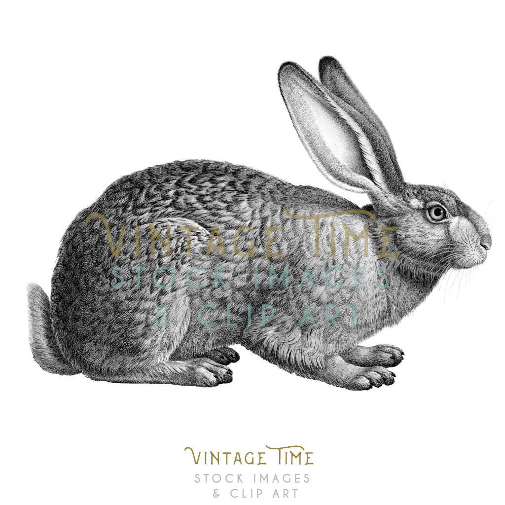 Clipart Easter Bunny, Rabbit Clip Art, Hare Clipart, Rabbit Printable ...