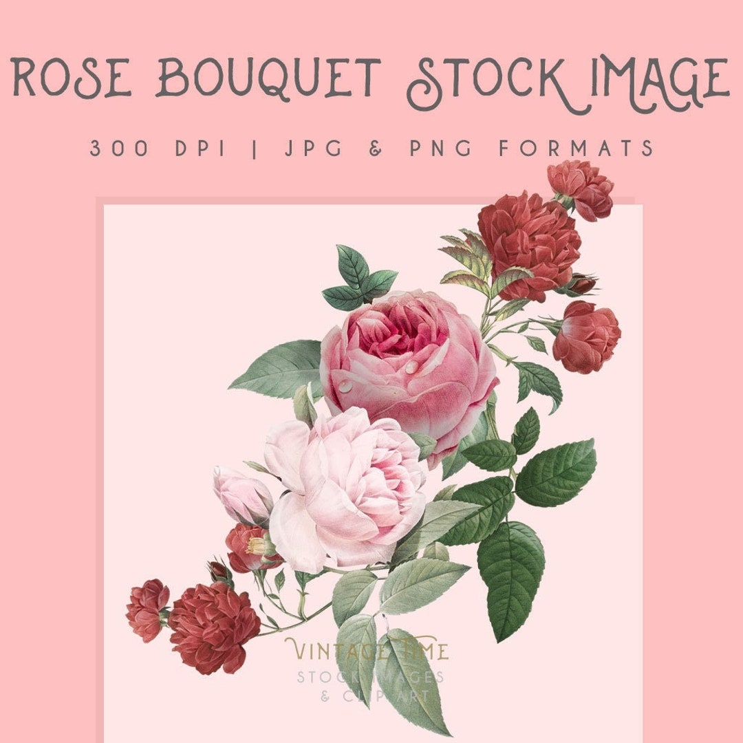 Rose Bouquet Floral Clipart Image, Instant Download, Pink Rose Print ...