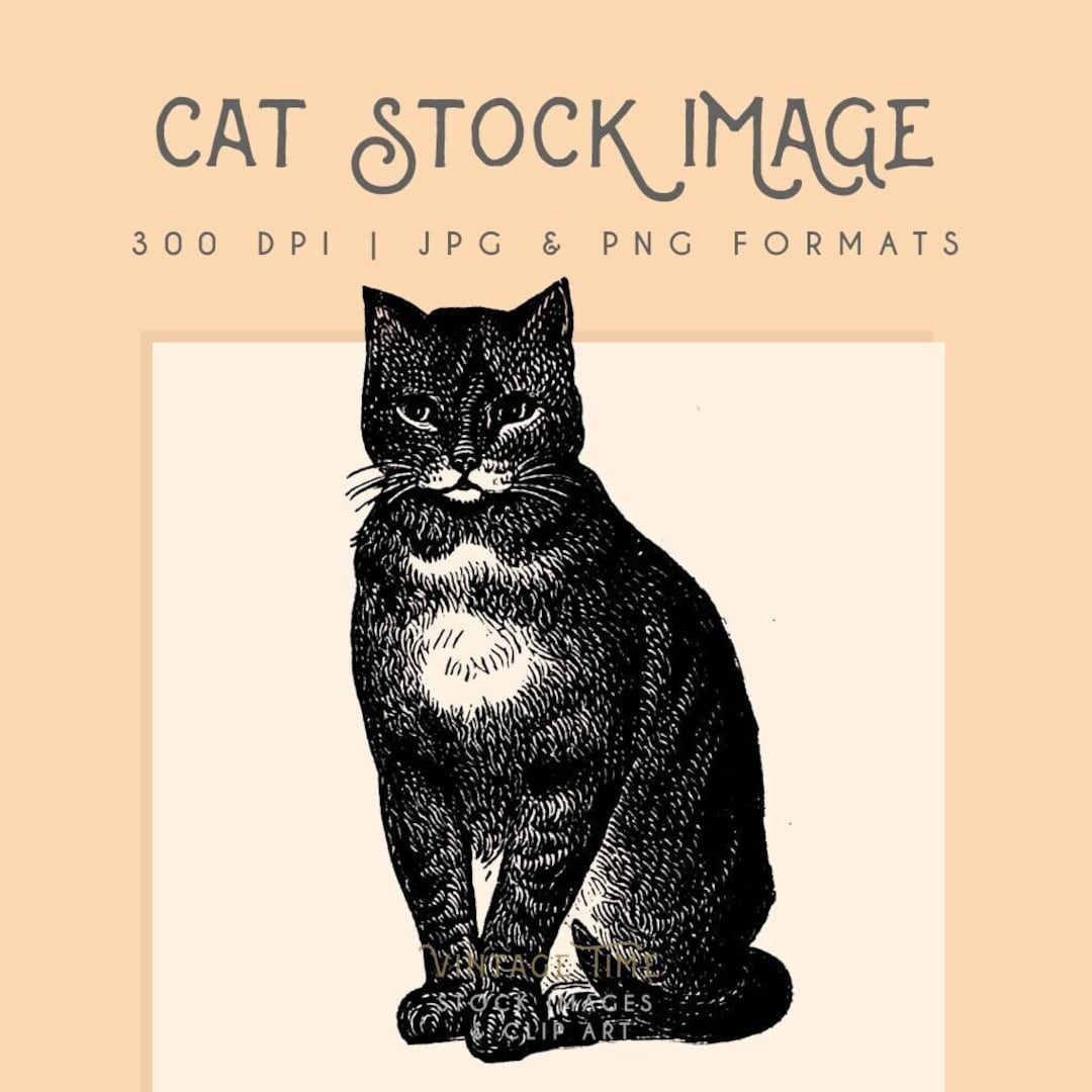 Black and White Cat Clipart Image, Instant Download Cat Print, Cat Clip ...