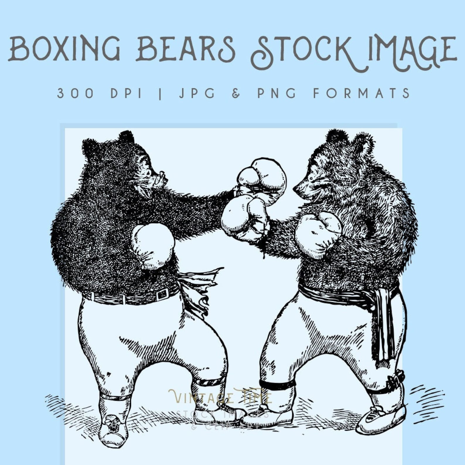 Boxing Bears Clipart Image Vintage Kids Print Bear Clipart - Etsy Australia