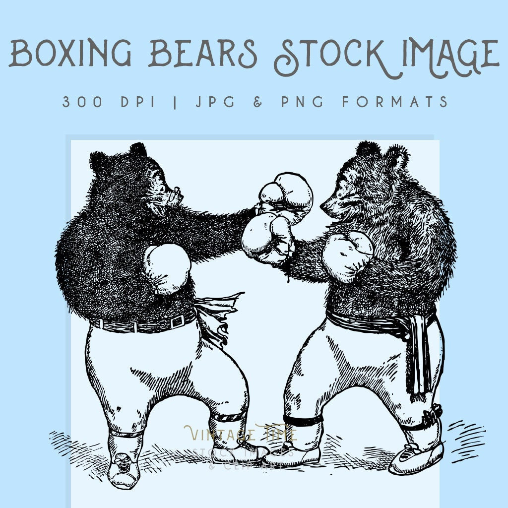 Boxing Bears Clipart Image Vintage Kids Print Bear Clipart - Etsy Australia
