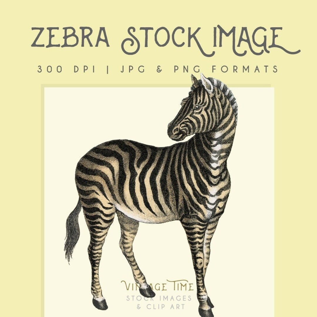 Zebra Print Clip Art