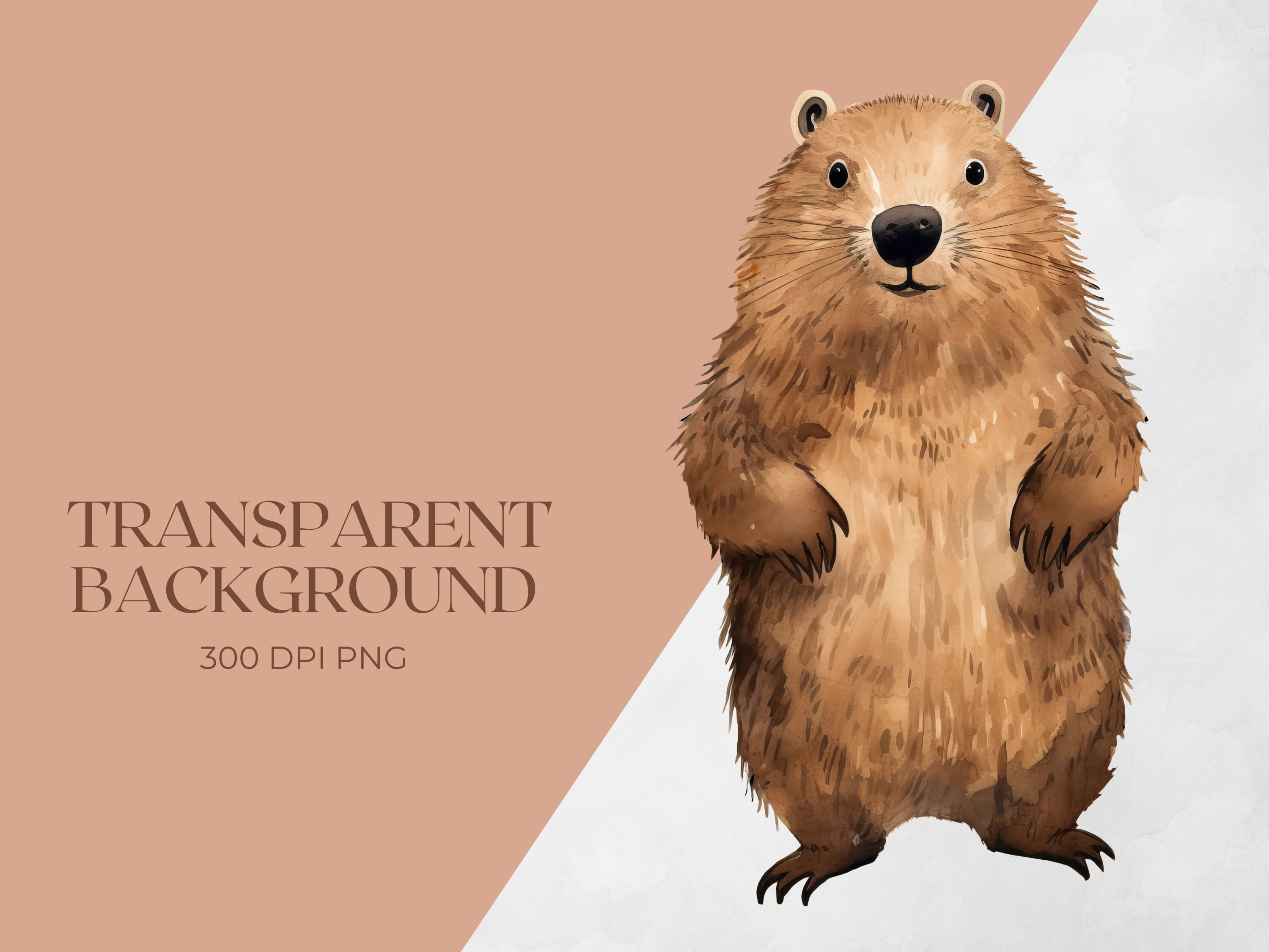 Groundhog Clipart, Groundhog Printable, Cute Groundhog Png, Groundhog ...
